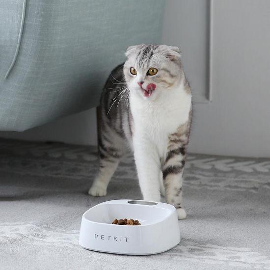 Petkit Fresh Smart Digital Scale Pet Bowl -Always Whiskered – Always ...