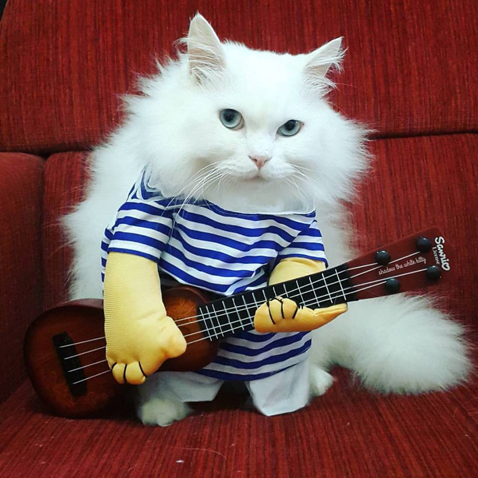 Rockstar Pet Costume with Wooden Guitar - Always Whiskered – Always ...