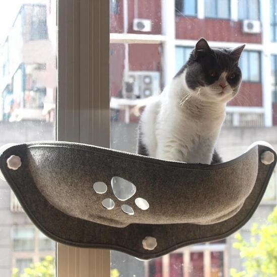 Window Cat Bed Hammock - Sunny Perch & Lounger for Cats – Always Whiskered